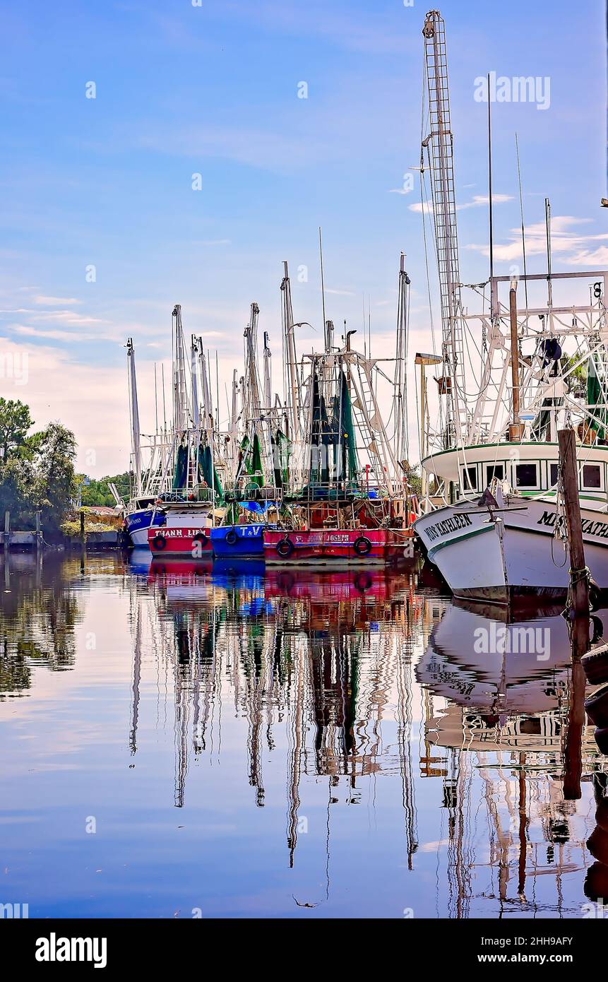 Shrimp boats are pictured, Sept. 17, 2016, in Bayou La Batre, Alabama ...