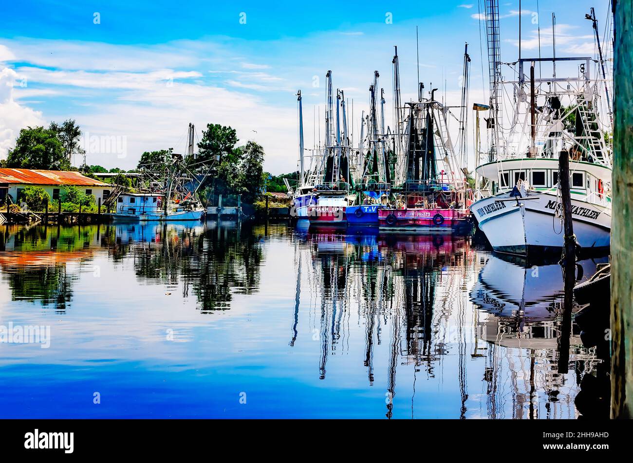 Shrimp boats are pictured, Sept. 7, 2016, in Bayou La Batre, Alabama ...
