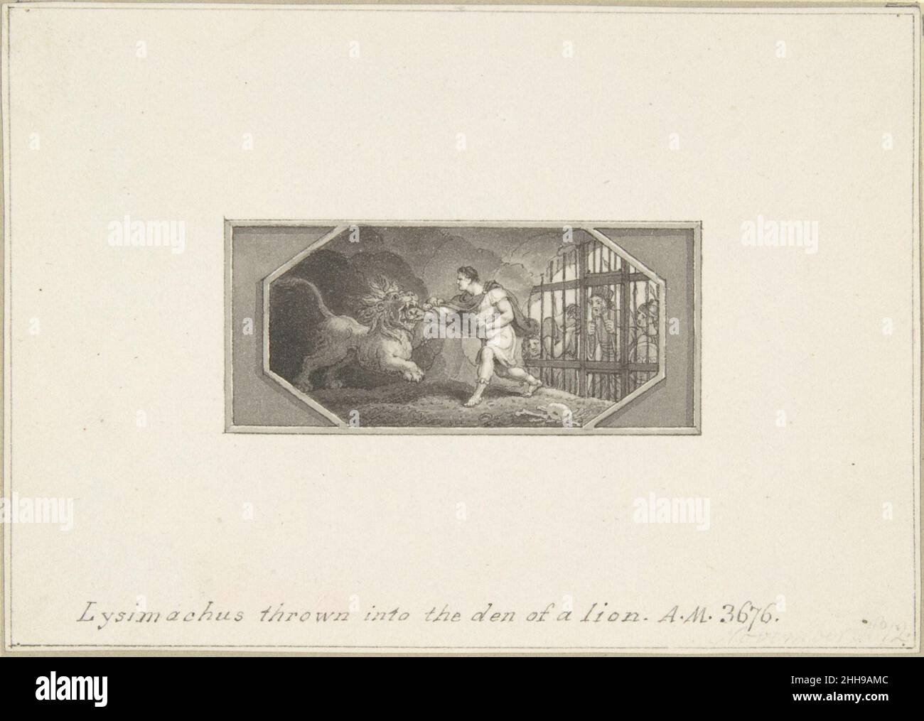 Lysimachus hi-res stock photography and images - Alamy