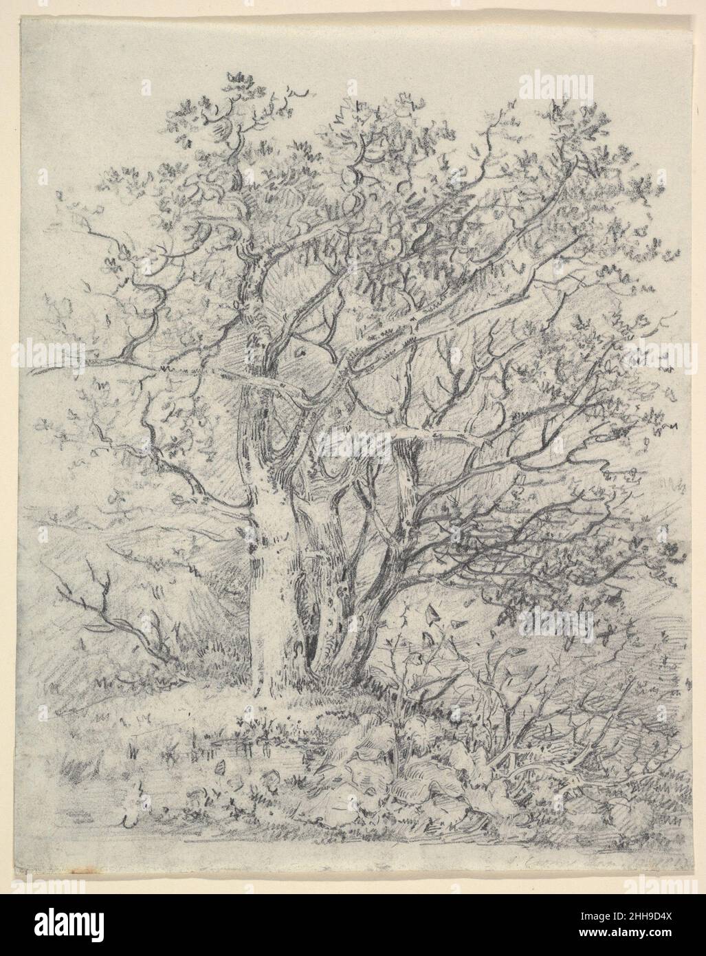 Study for Three Trees January 12, 1812 John Crome British Crome made ...