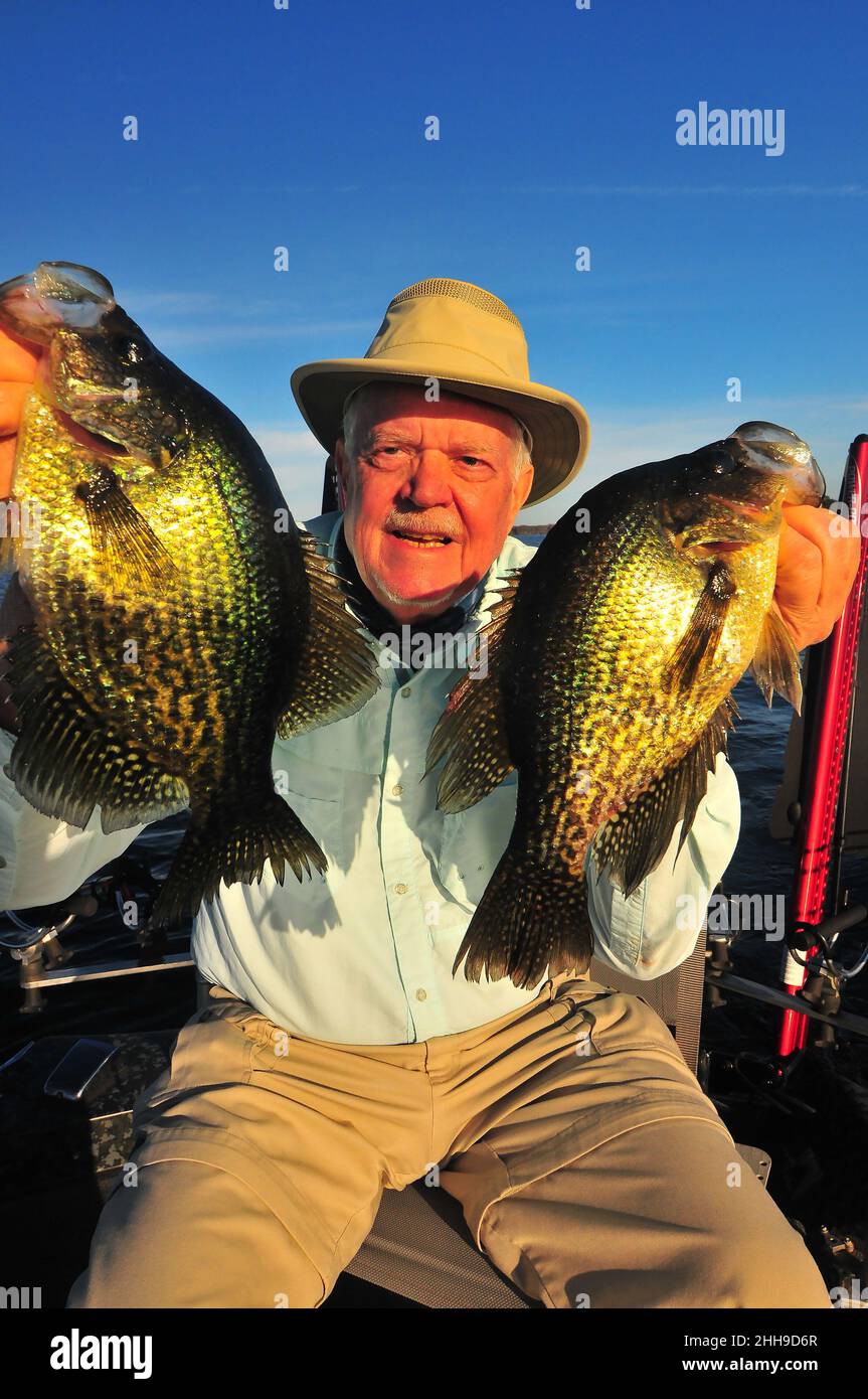 Larry Larsen lands a couple of big 2-pound crappie (speckled perch ...