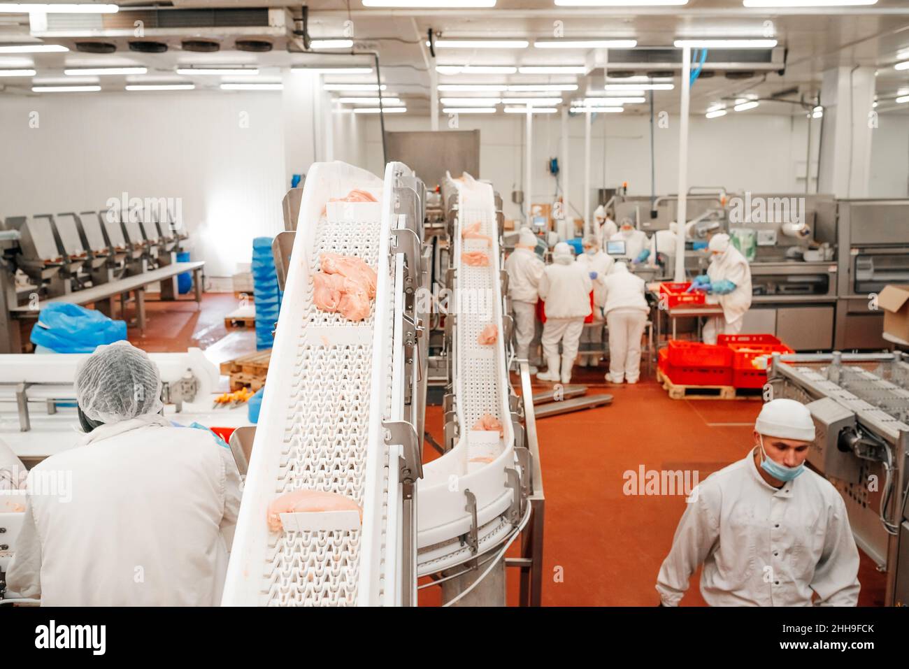 Meat processing plant.Industrial equipment at a meat factory.Modern ...