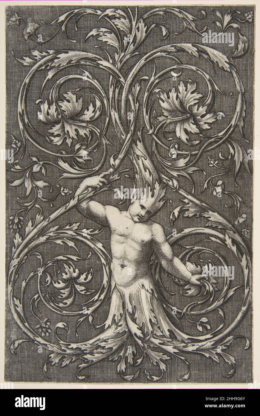 Grotesque with male figure with lower body and head of acanthus scrolls ...