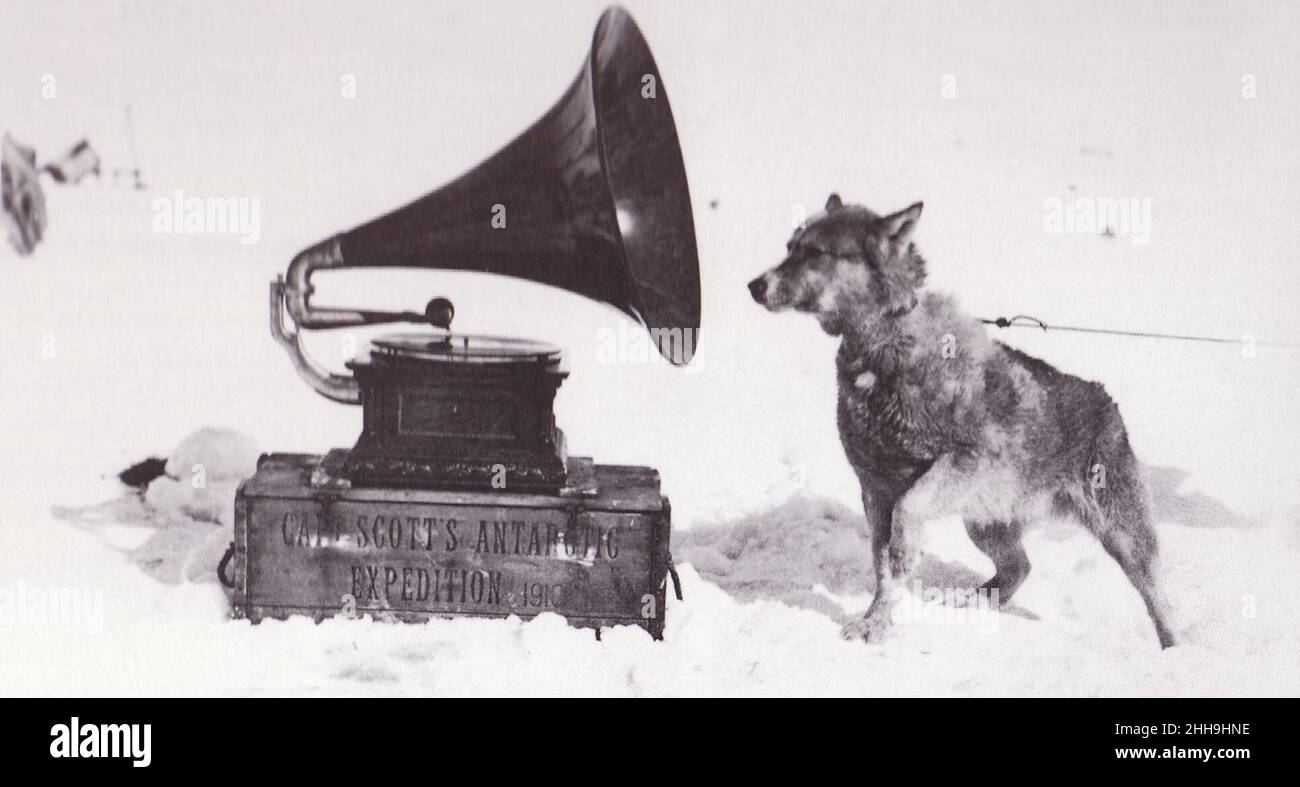 Dog gramophone hi-res stock photography and images - Alamy
