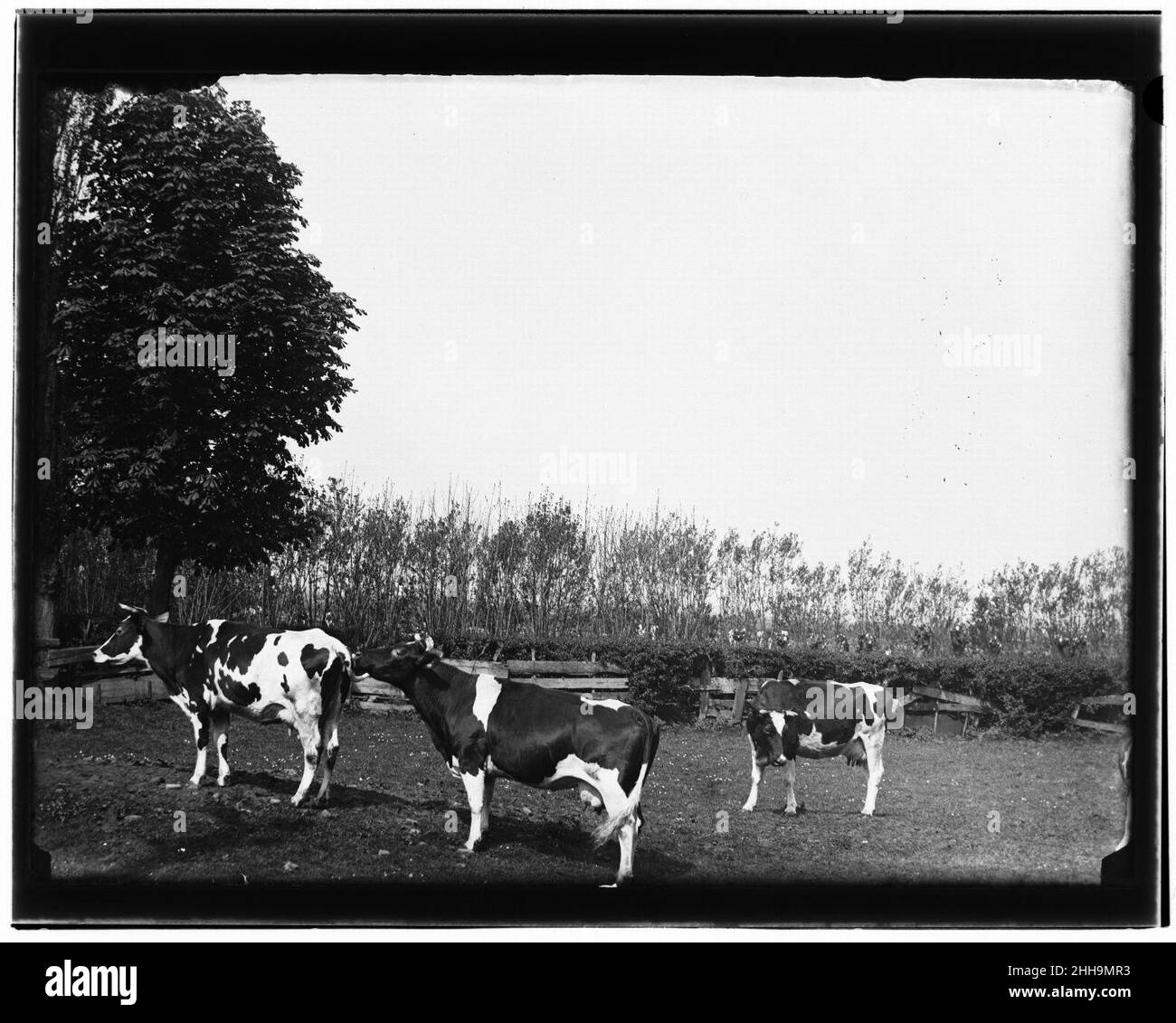 Sloterweg eo, foto 1 Jacob Olie (max res Stock Photo - Alamy