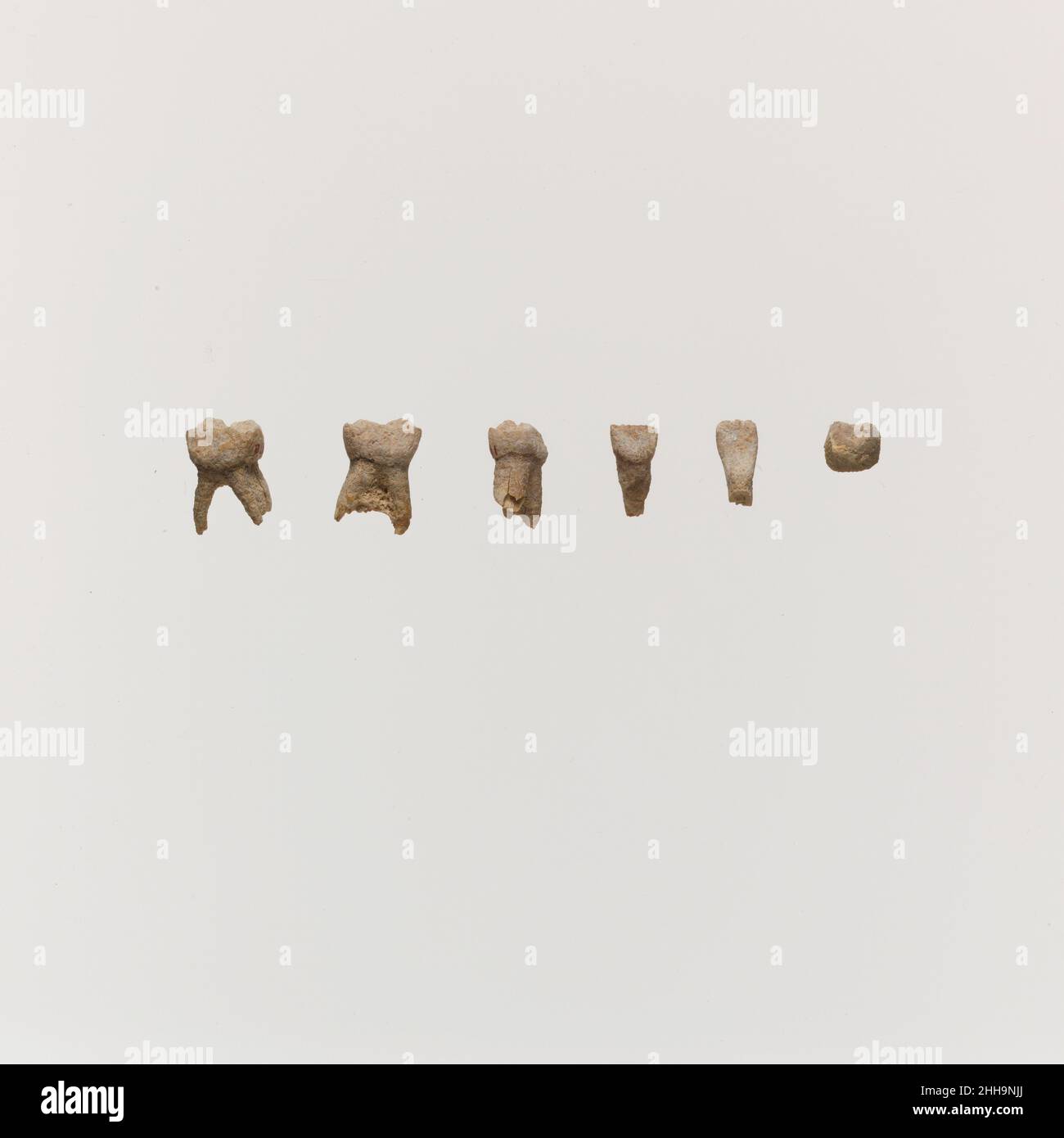 Tooth, 5. Tooth, 5 248628 Stock Photo - Alamy