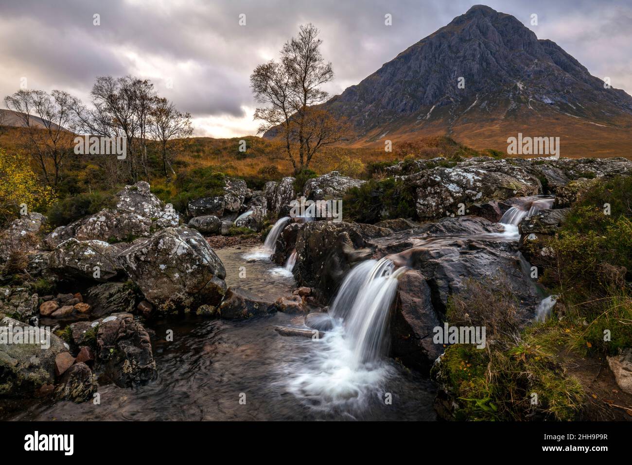 GLEN ETIVE FOREST GLEN COE SCOTLAND UNITED KINGDOM Stock Photo - Alamy