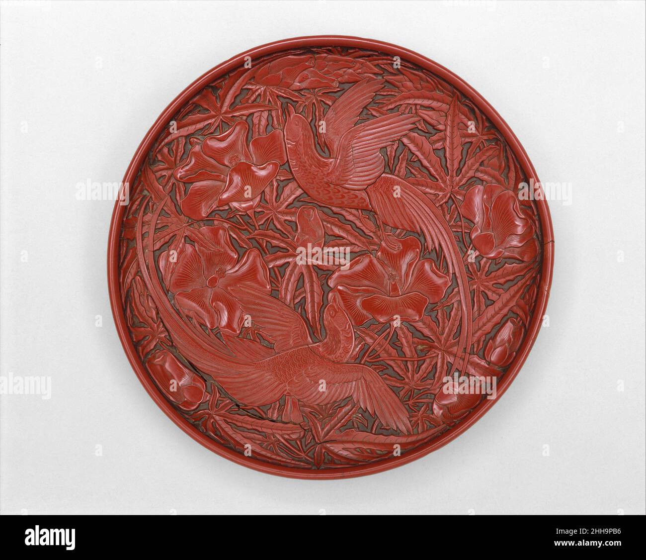 Remarkable dish hi-res stock photography and images - Alamy