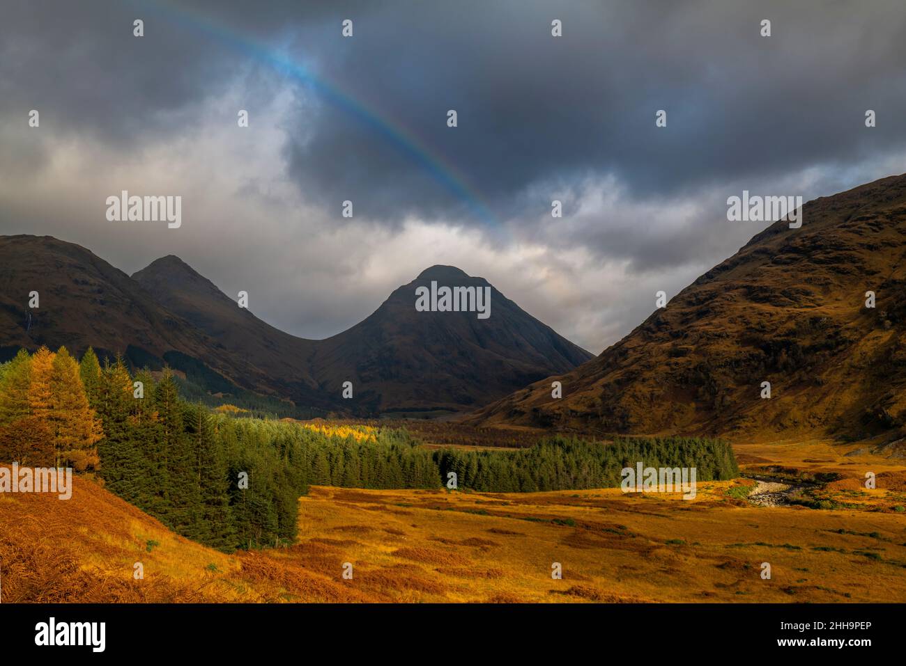GLEN ETIVE FOREST GLEN COE SCOTLAND UNITED KINGDOM Stock Photo - Alamy