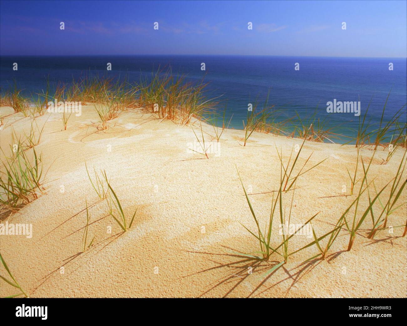 Cape Cod beach in summer Stock Photo - Alamy
