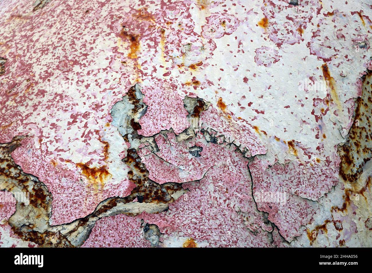 Rotten cardboard hi-res stock photography and images - Alamy