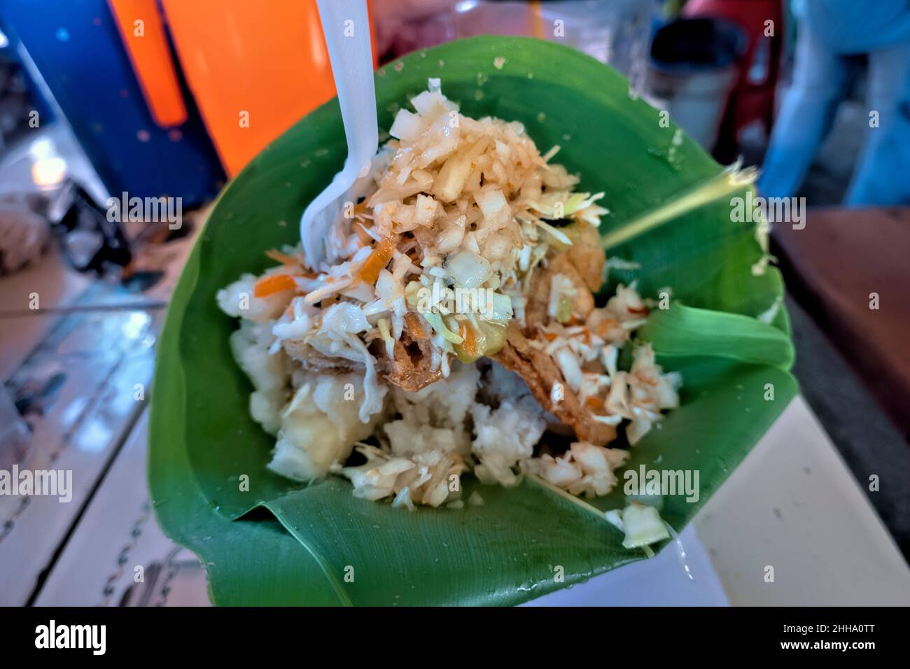 Vigoron Nicaraguense