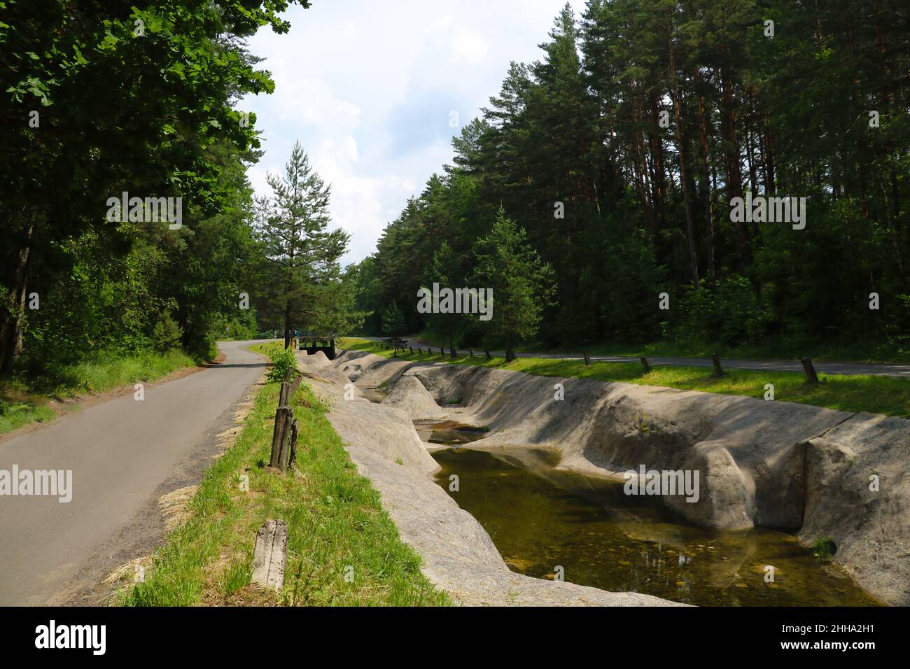 Sports in the forest hi-res stock photography and images - Alamy