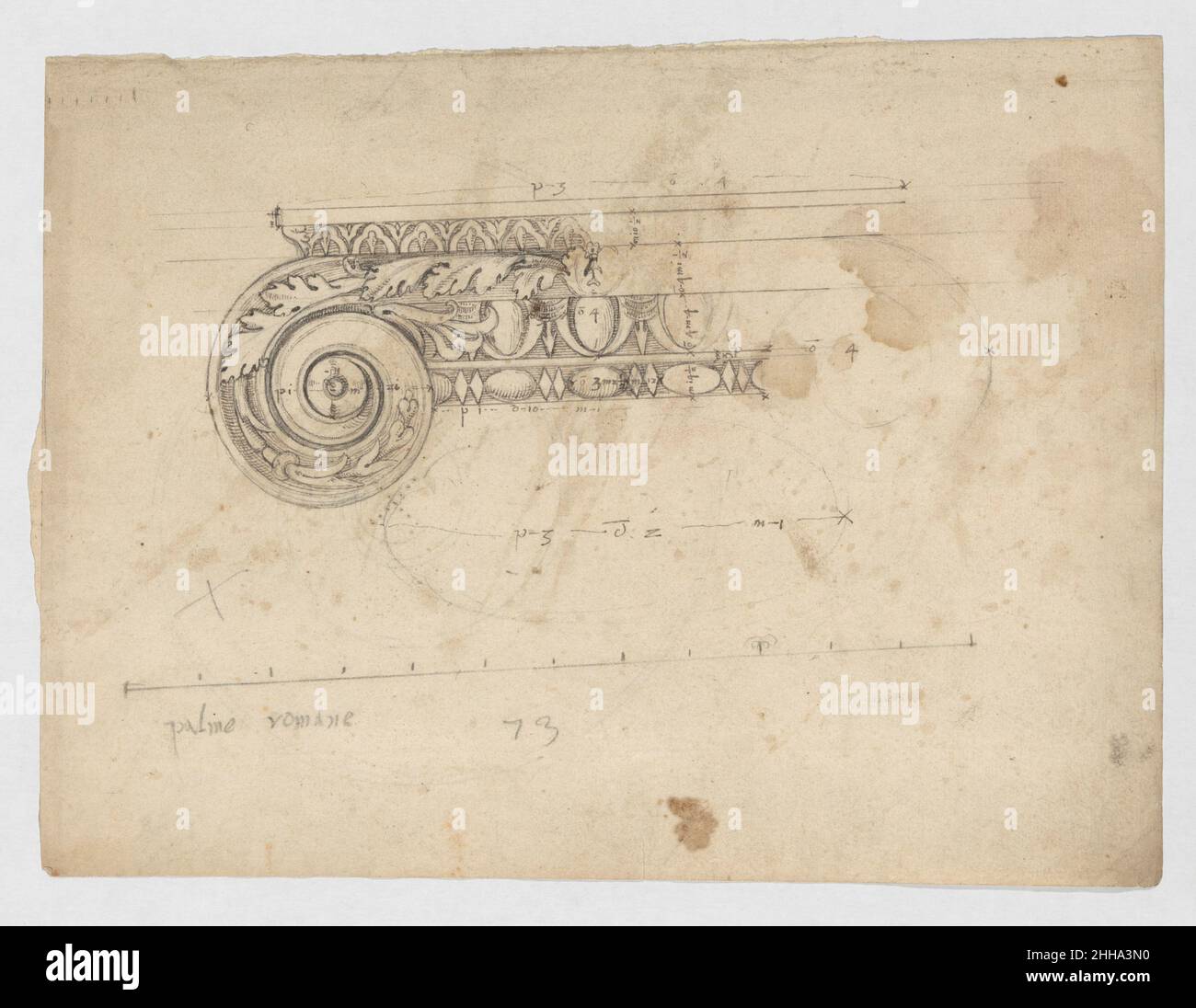 S. Maria in Trastevere, Ionic capital, volute, side elevation (recto ...
