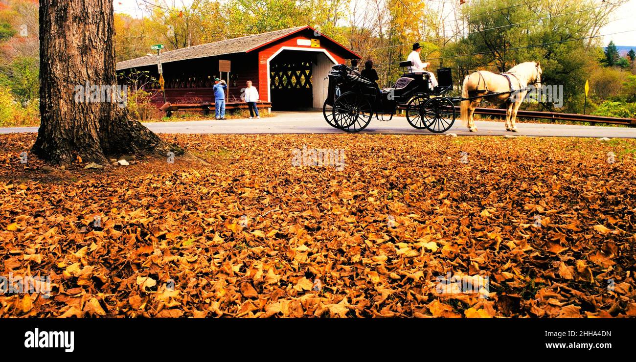 New England covered bridge and horse drawn carriage in autumn Stock ...