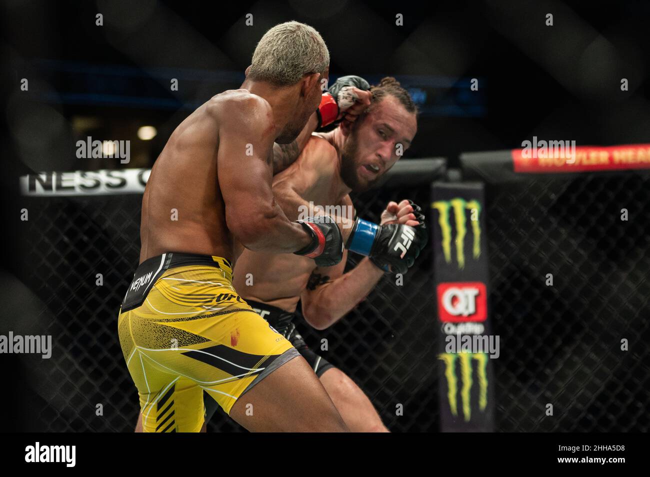 Raoni barcelos hi-res stock photography and images - Alamy