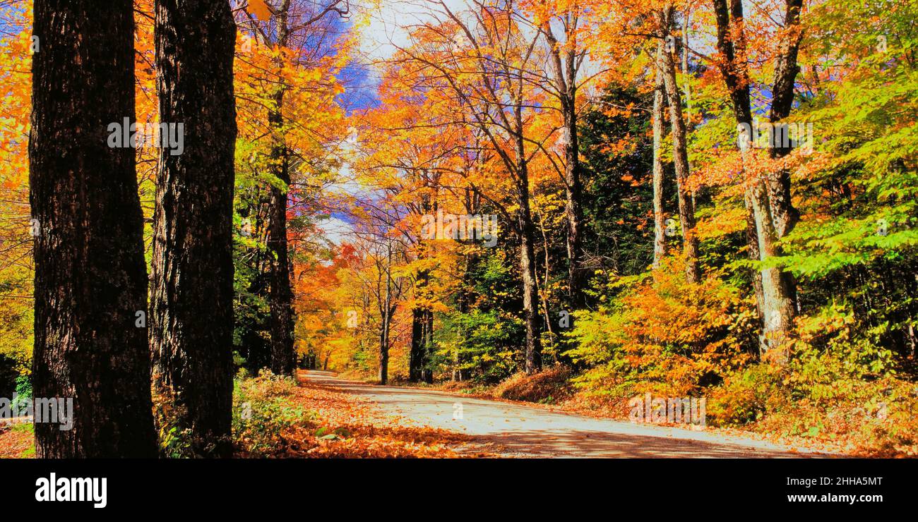 New england dirt roads hi-res stock photography and images - Alamy