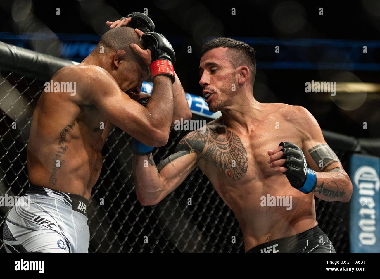 Anaheim, California, USA. 23rd Jan, 2022. UFC 270: Ngannou vs Gane ...