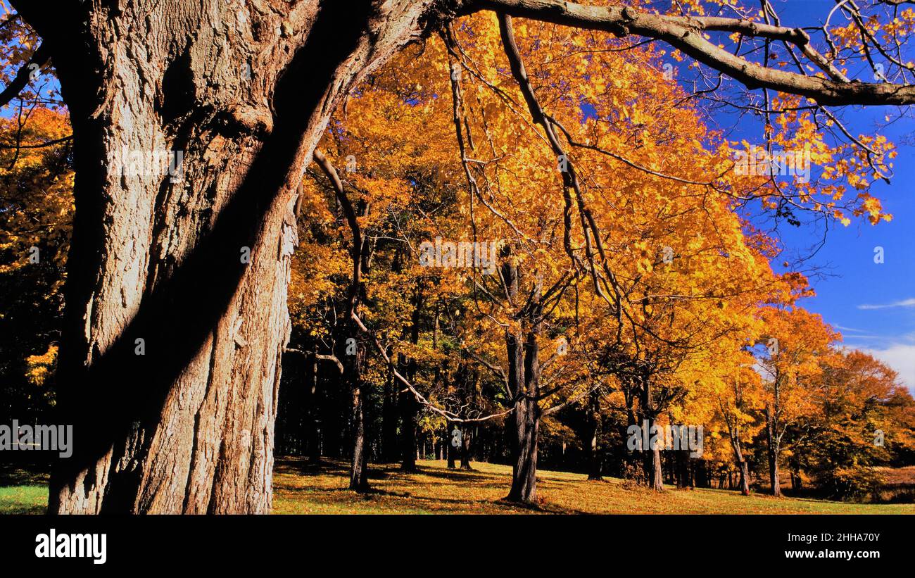 Appleton farms massachusetts hi-res stock photography and images - Alamy