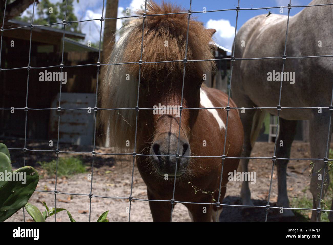 Naples Ranch High Resolution Stock Photography and Images - Alamy