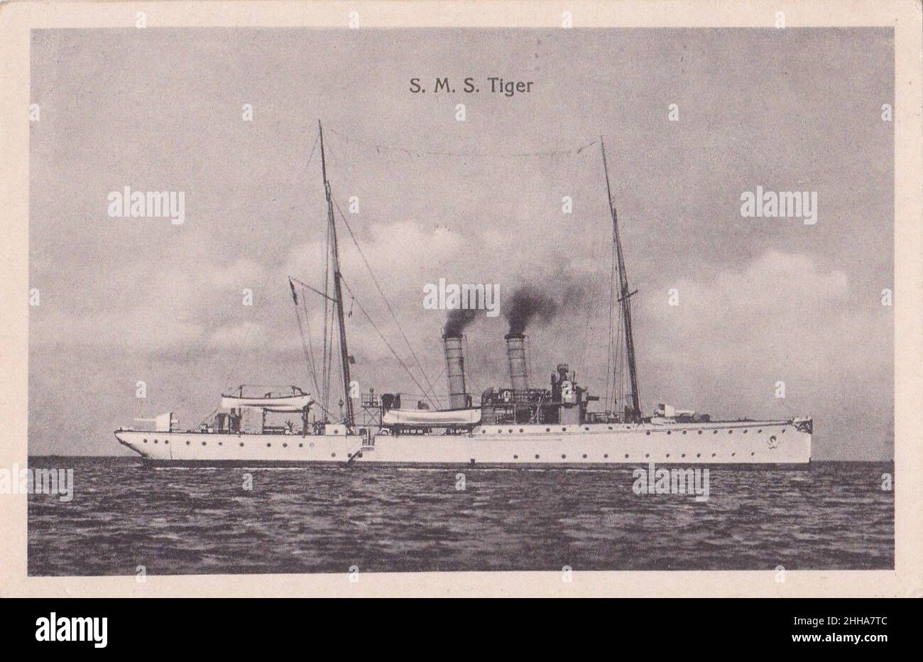 Sms tiger hi-res stock photography and images - Alamy