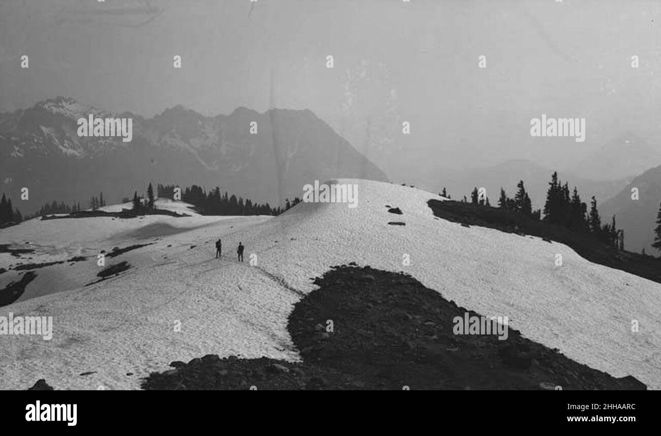 Snow drifts and dune at Nisqually Ridge, Mt Rainier, August 1911 (WASTATE 2302 Stock Photo - Alamy
