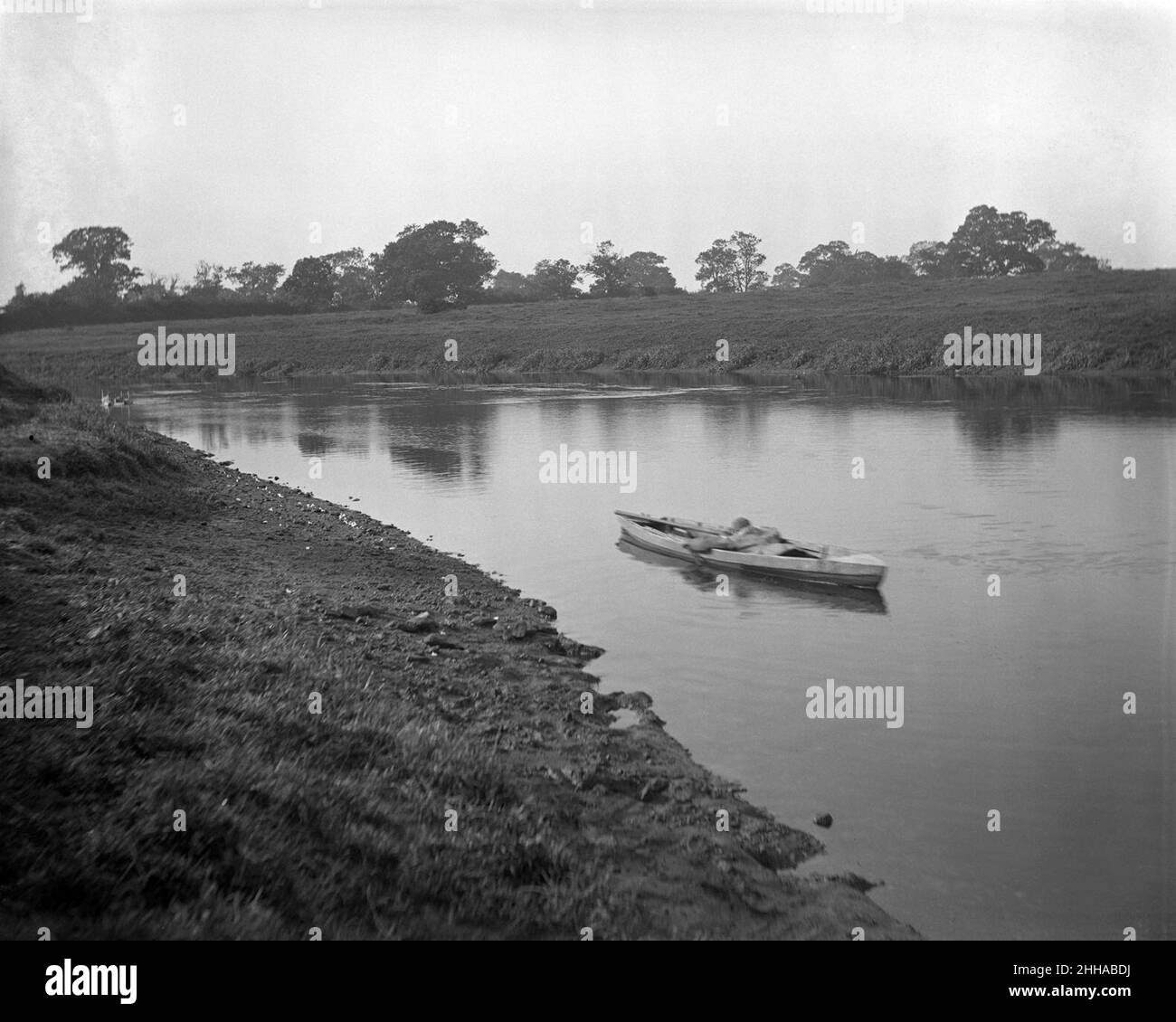 Snowden Slights ready to shoot at swans YORYM-S14 Stock Photo - Alamy