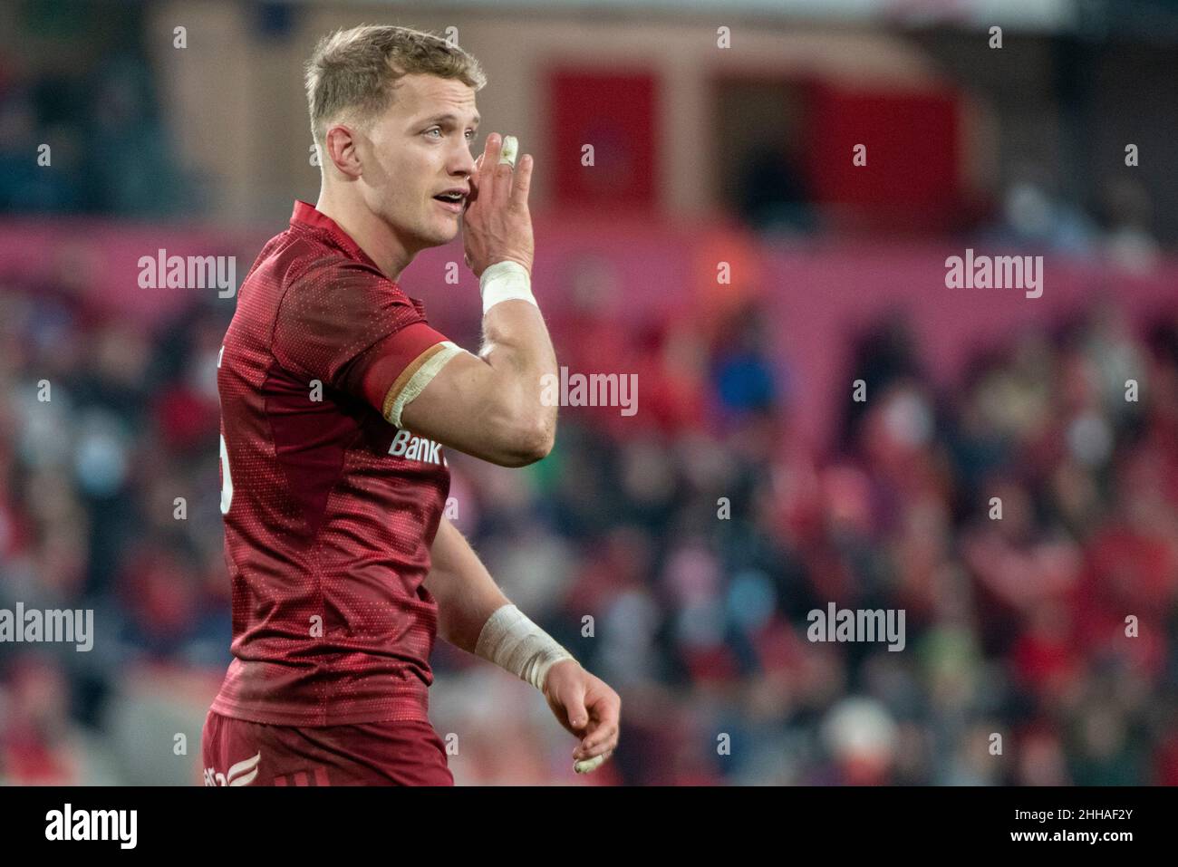 Mike HALEY of Munster during the Heineken Champions Cup, Round 4, Pool ...