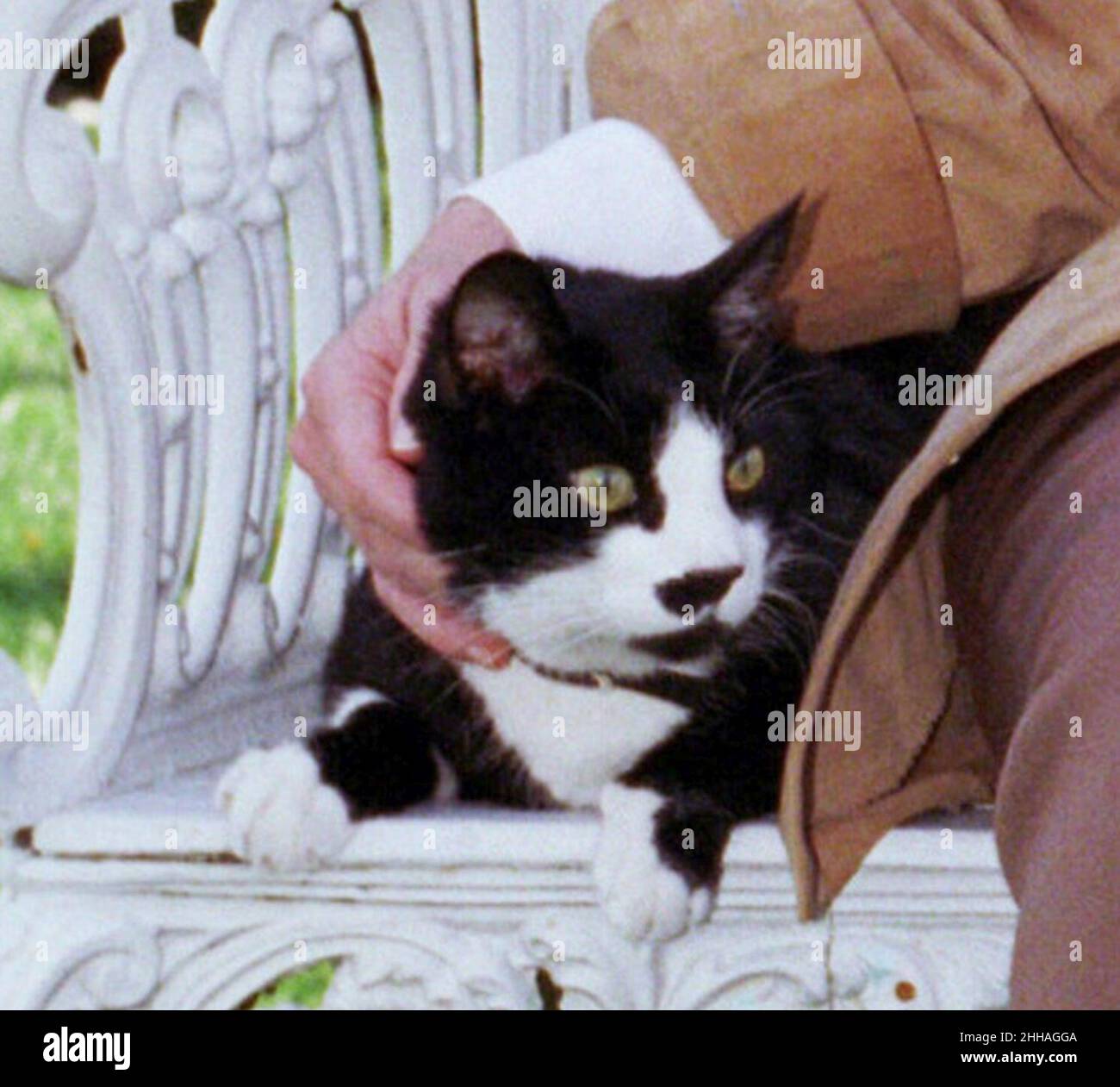 Hillary clinton in 1999 hi-res stock photography and images - Alamy