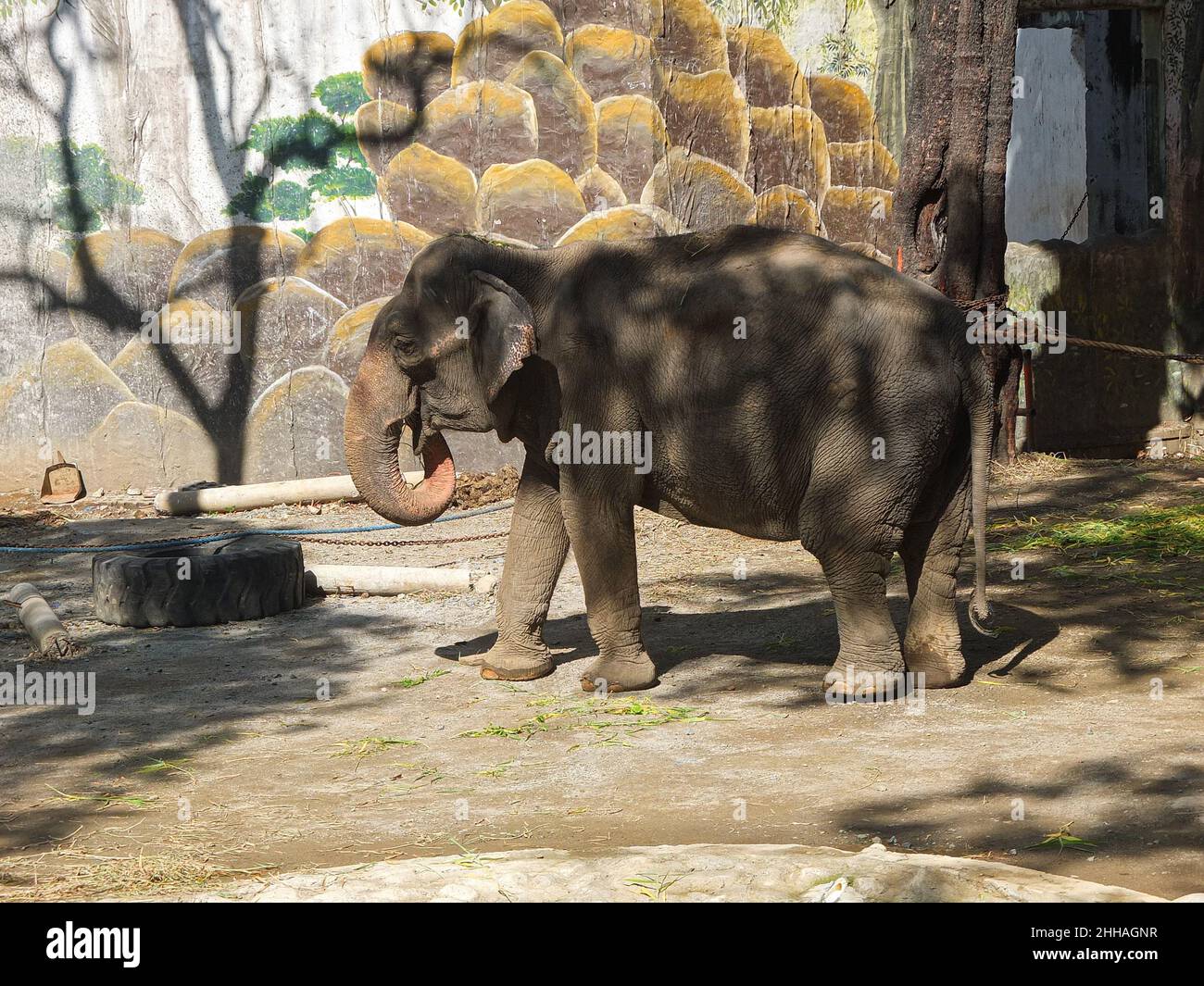 Manila zoological and botanical garden hi-res stock photography and ...