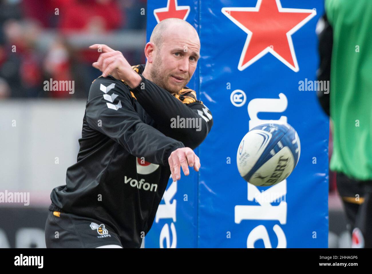 Dan robson wasps 2022 hi-res stock photography and images - Alamy