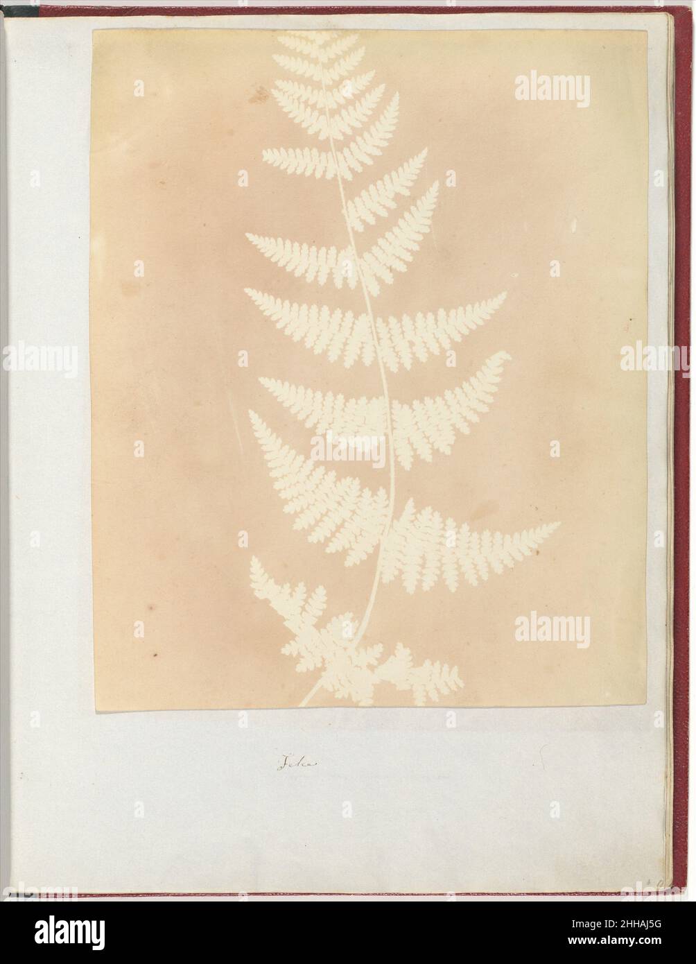 William henry fox talbot british hi-res stock photography and images ...