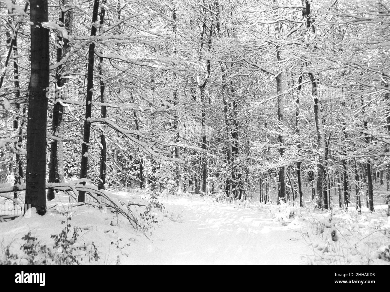 Michelbach see hi-res stock photography and images - Alamy