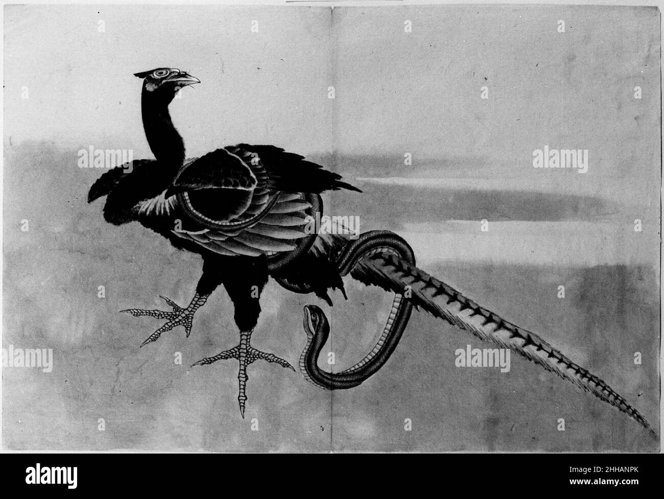 Pheasant and Snake 18th–19th century School of Katsushika Hokusai ...