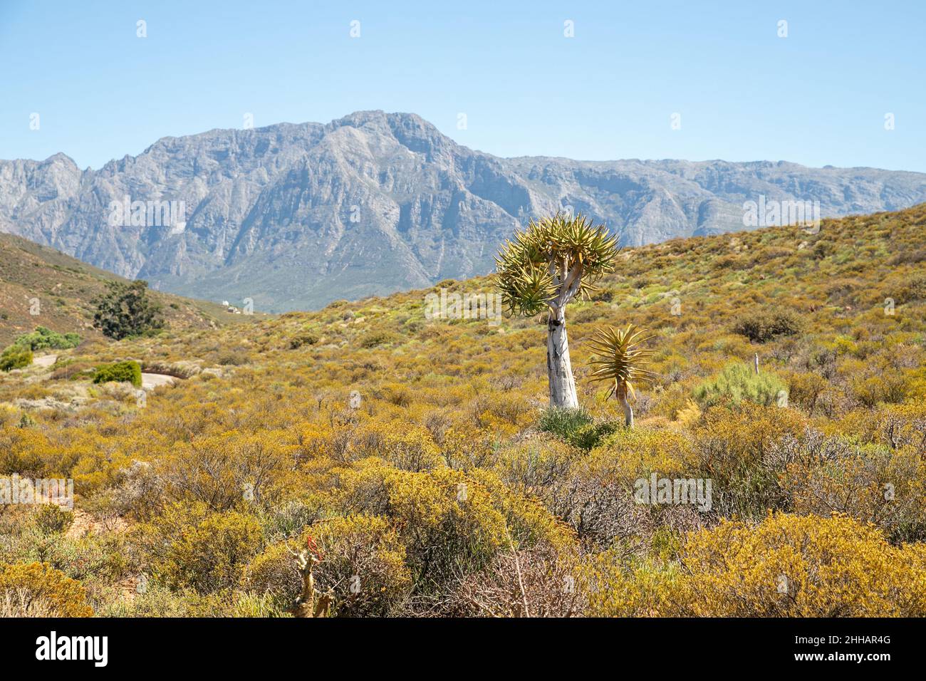 Worcester. 23rd Jan, 2022. Photo taken on Jan. 23, 2022 shows a view of ...