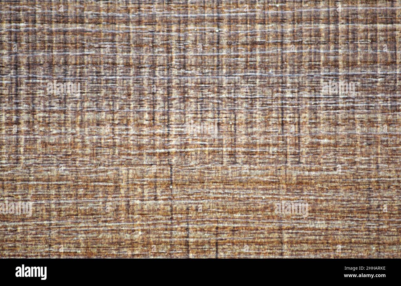 Light walnut, flat surface of natural wood of rough processing close-up ...