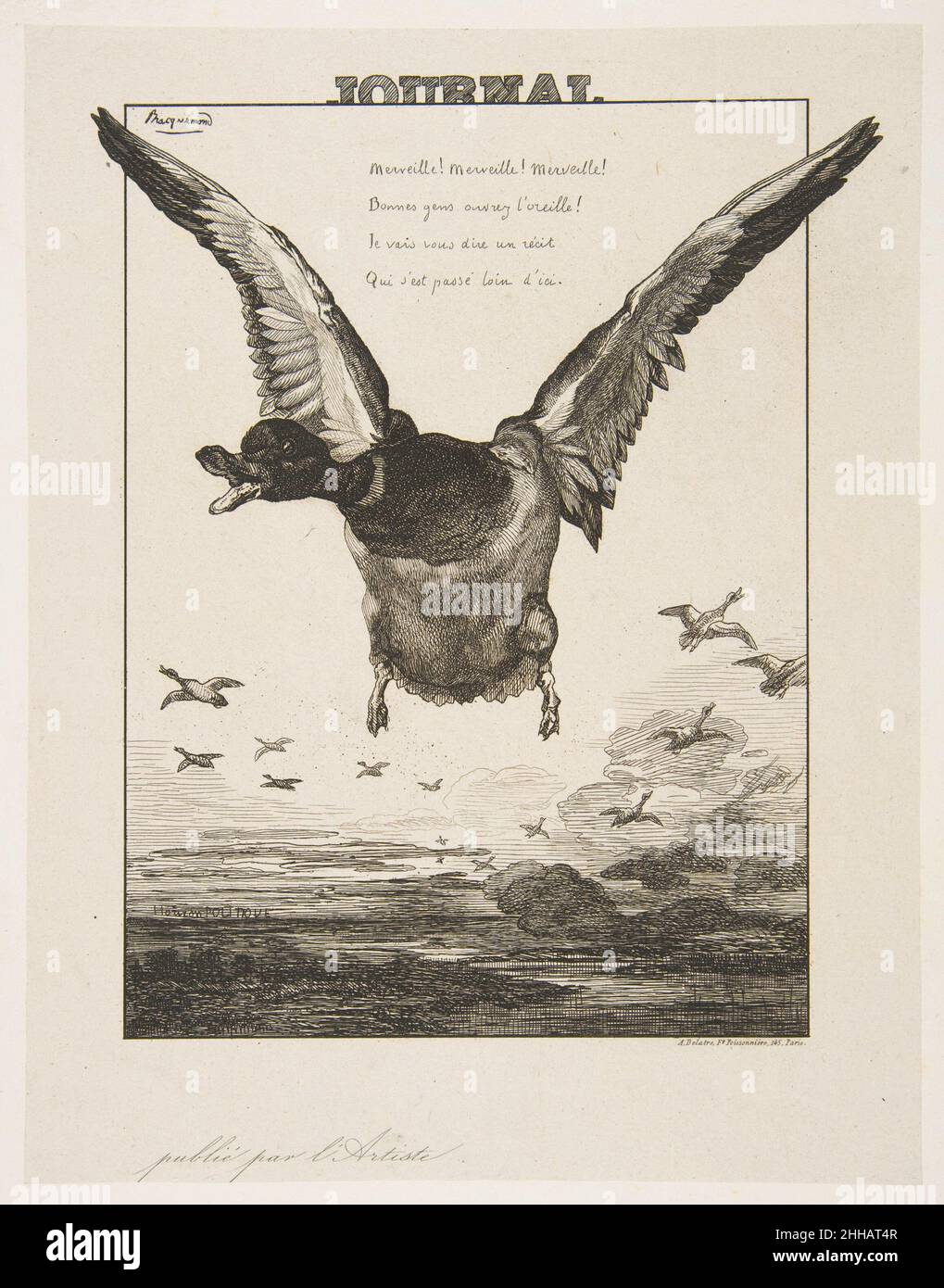 Le Canard 1856 Félix Bracquemond French. Le Canard 385065 Stock Photo ...