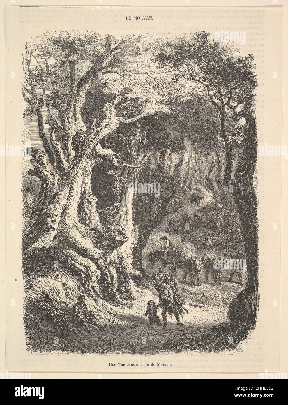 A View in the Forest of Morvan 1837–66 Antoine-Alphée Piaud. A View in ...