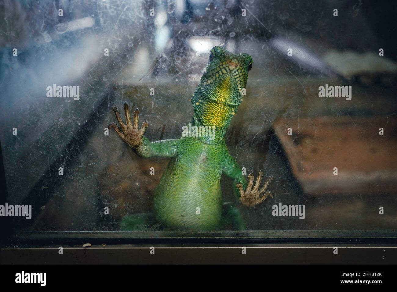 Collapsible tank hi-res stock photography and images - Alamy