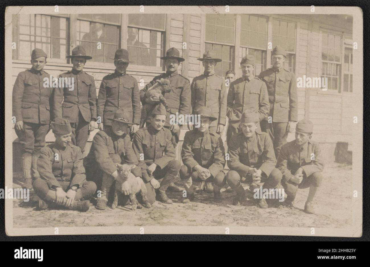 Soldiers of 308th Infantry Regiment in uniform with lambs at Camp Upton ...