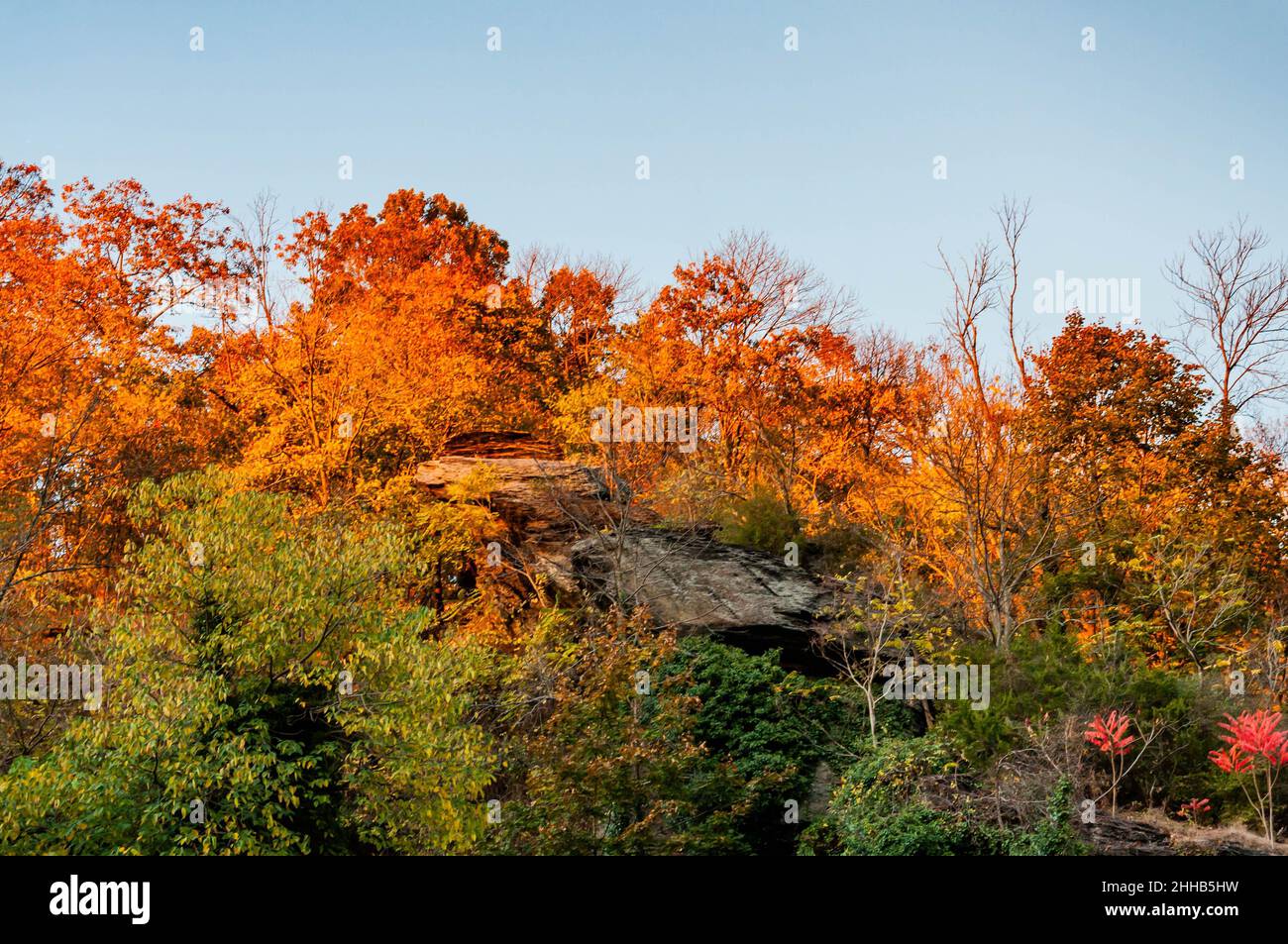 Stunning nature colors hi-res stock photography and images - Alamy