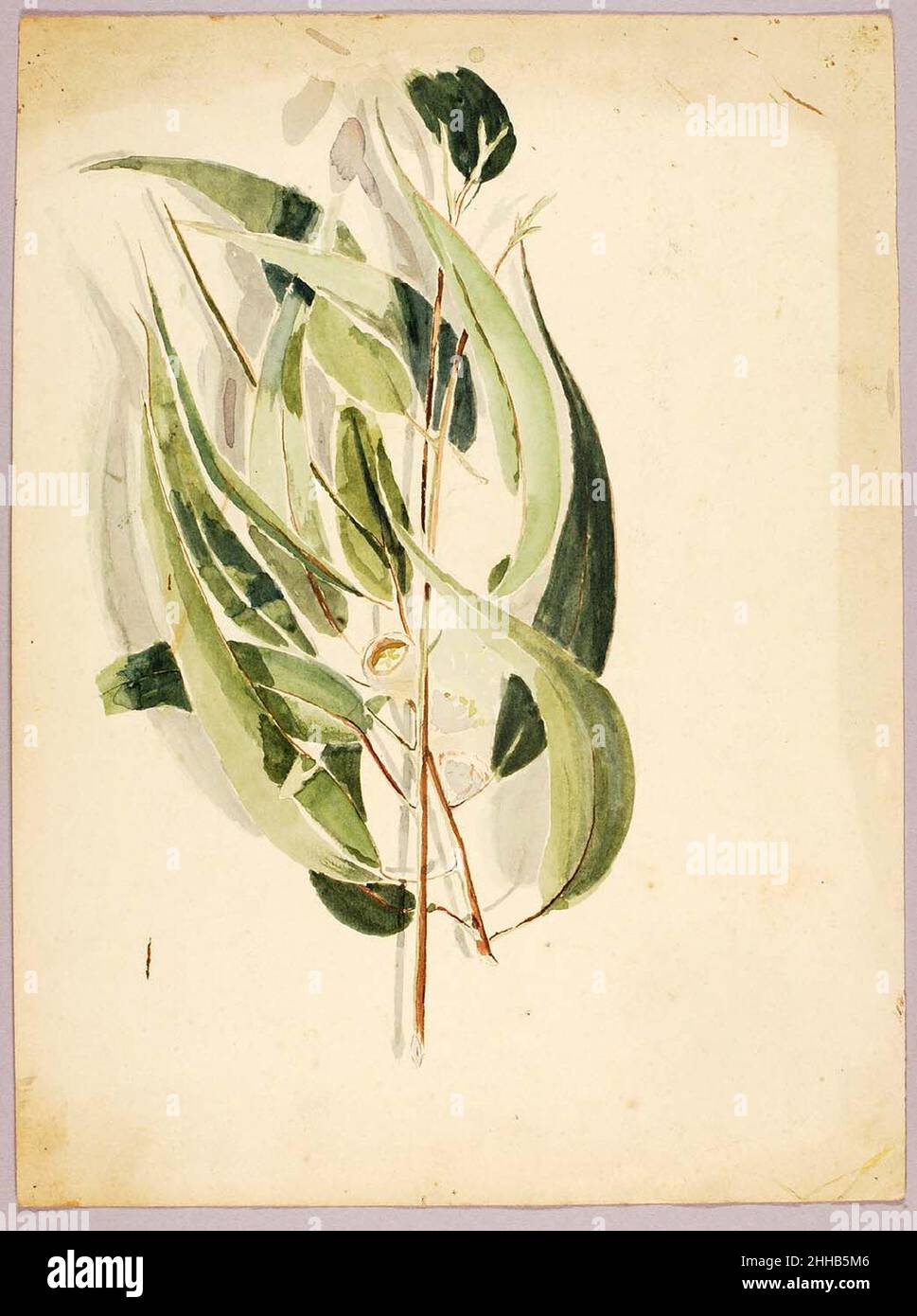 Borglum solon hi-res stock photography and images - Alamy