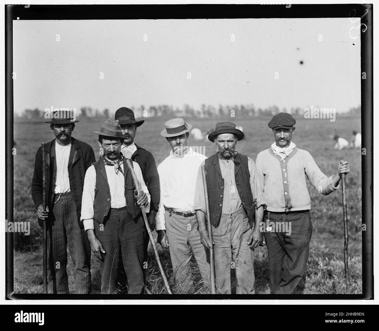 1910 report Black and White Stock Photos & Images - Alamy