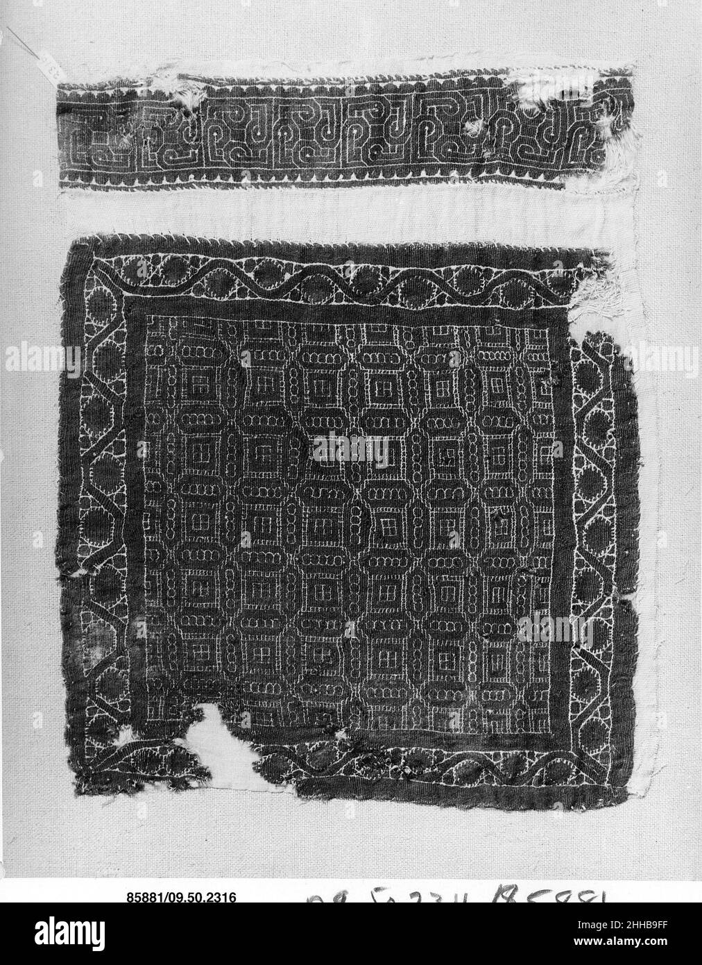 Fragment preserved Black and White Stock Photos & Images - Alamy