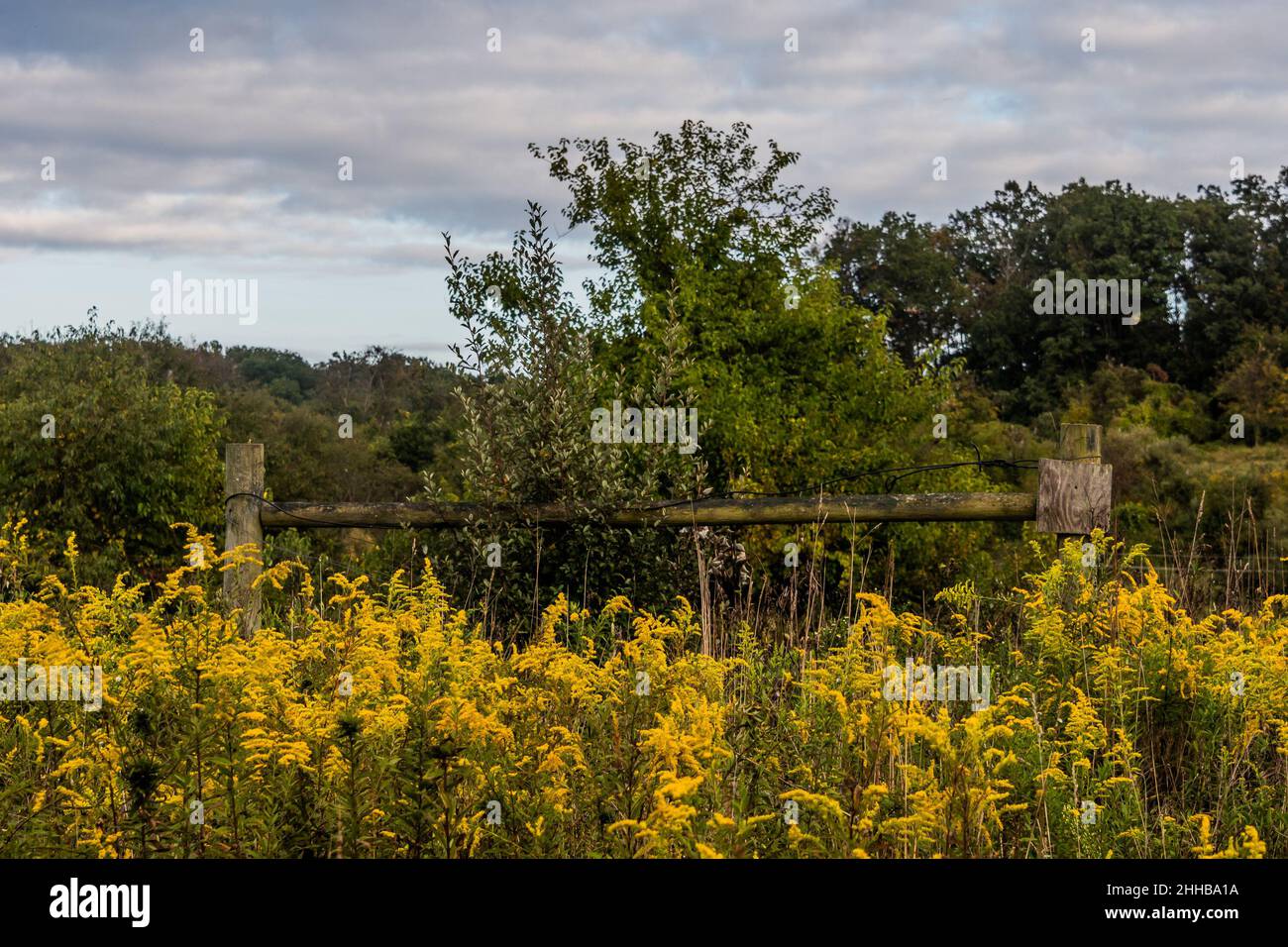 Abandoned Farm Field in Autumn, Richard M Nixon County Park, York ...