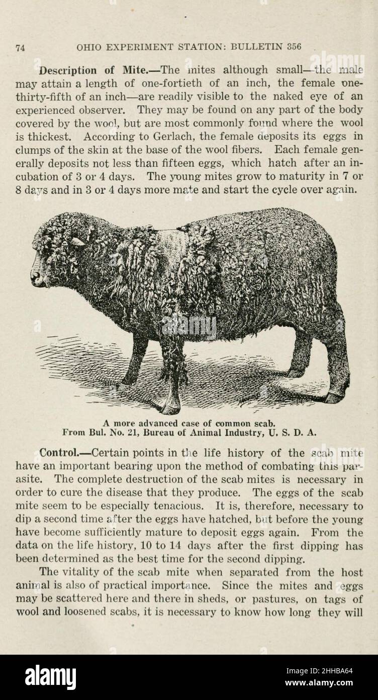 Some pests of Ohio sheep (Page 74 Stock Photo - Alamy