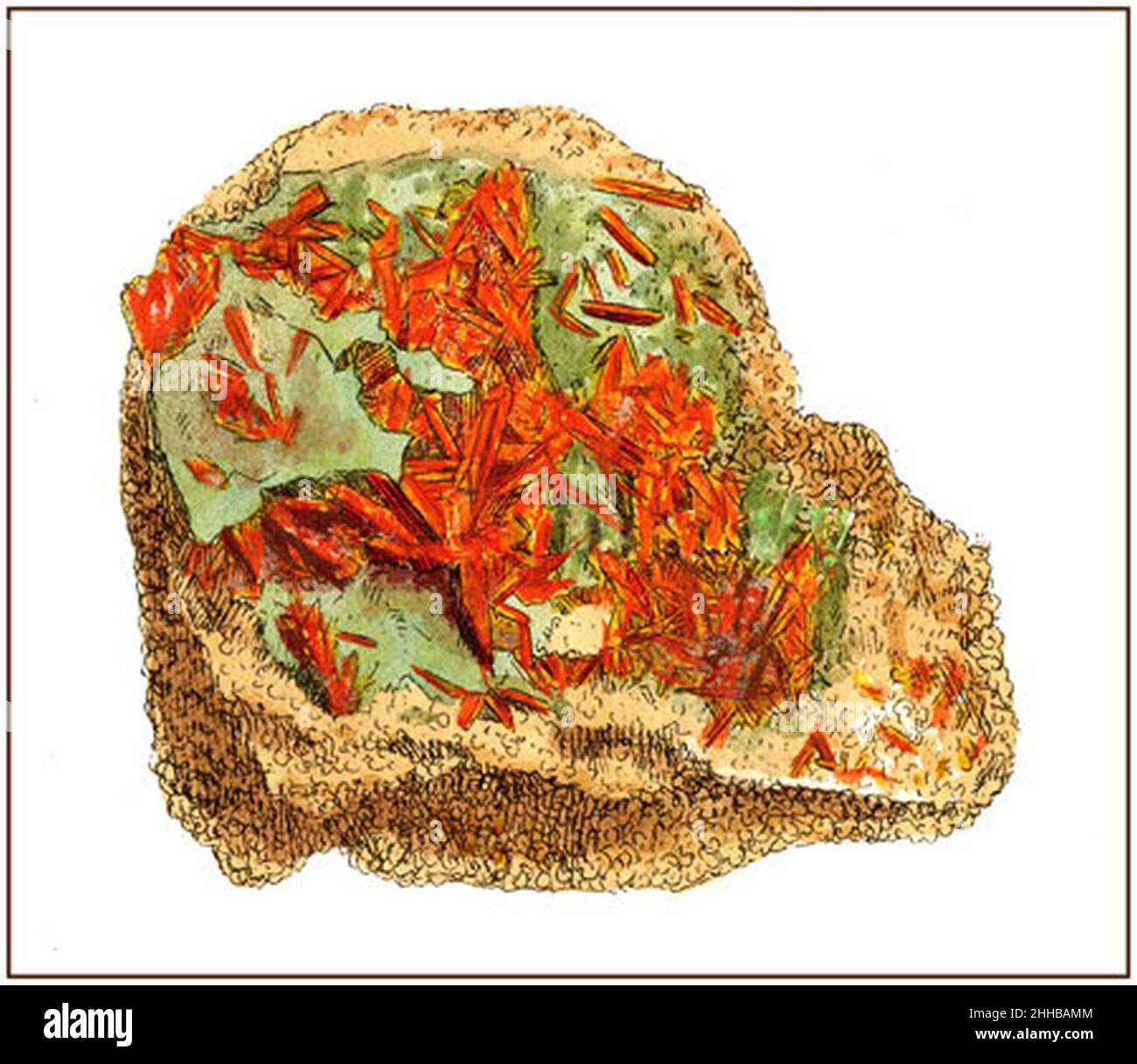 Mawé hi-res stock photography and images - Alamy