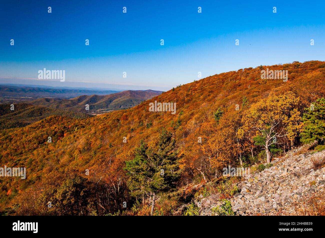 Autumn In The Blue Ridge Mountains, Shenandoah National Park, Virginia ...