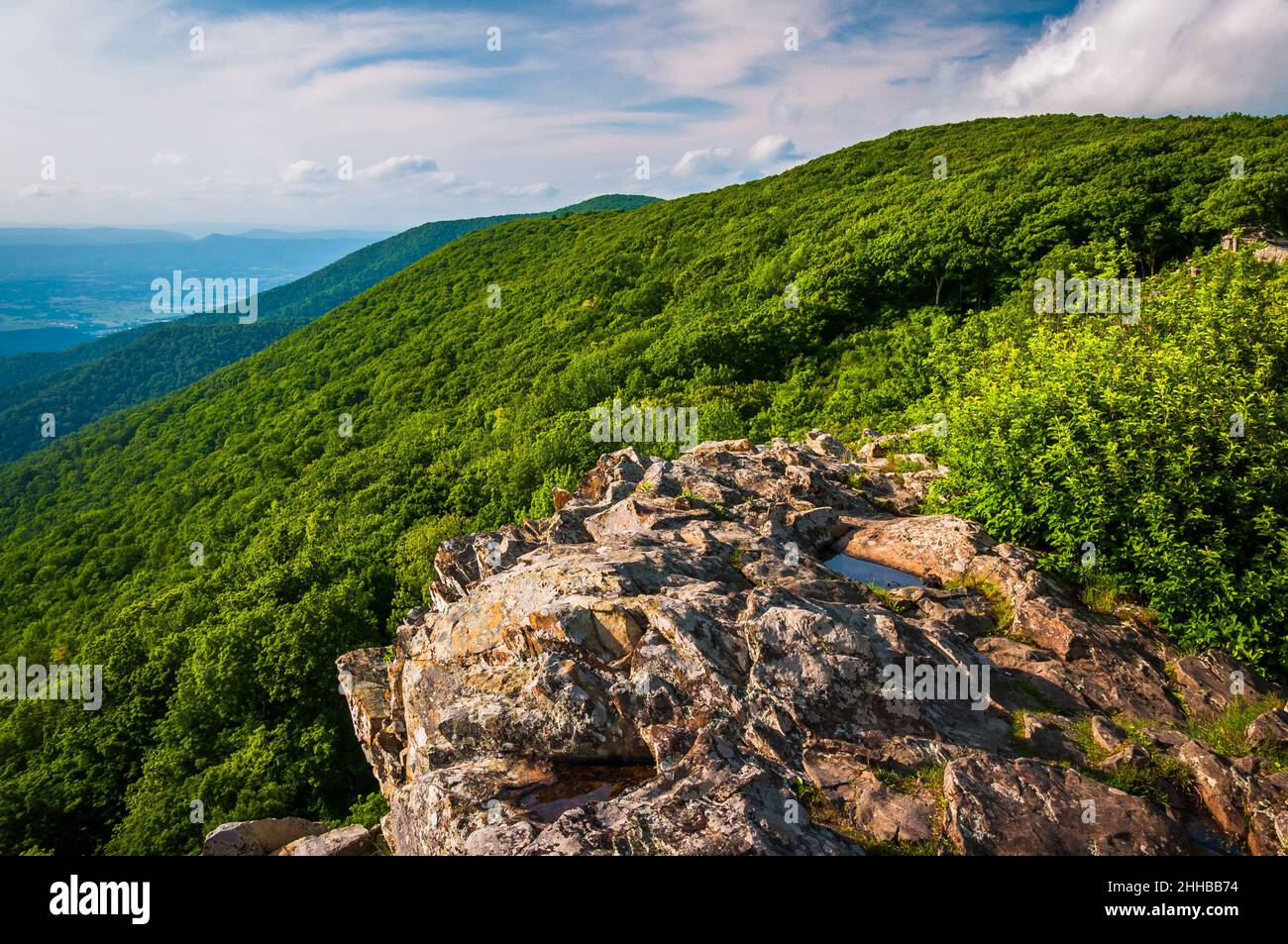 Little Stony Man Cliffs in Summer, Shenandoah National Park, Virginia ...