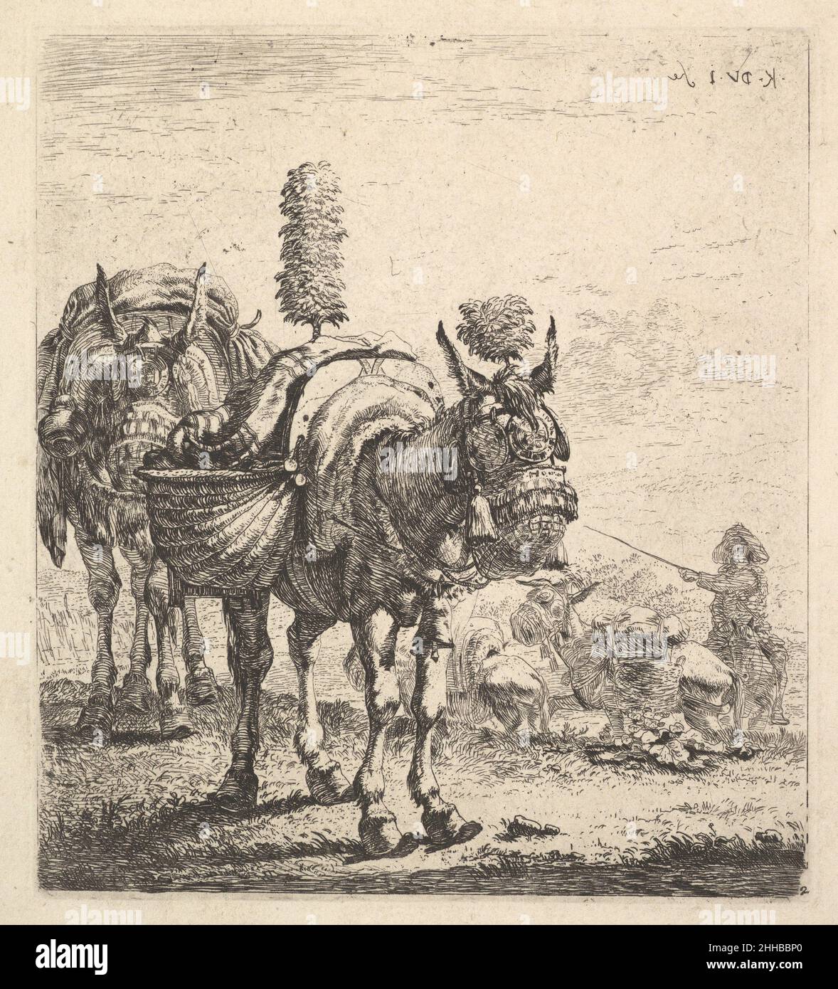 Two mules bearing panniers and outfitted with blinders, plumes, and ...